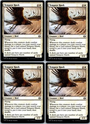 4x Tempest Hawk x4 - Tarkir Dragonstorm - MTG - Magic - 4 x - Near Mint ...