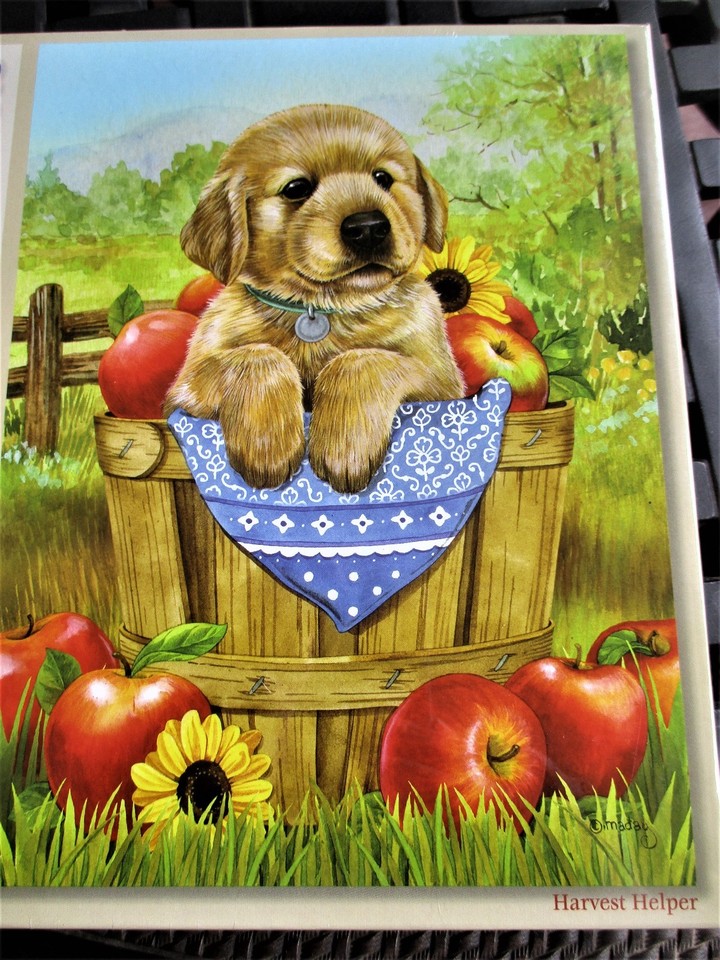 500 Piece Jane Maday Art Puzzle "Harvest Helper " New 18" x 24" | eBay