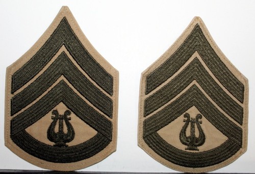 USMC US Marine Corps Male Staff Sergeant Band Rank Pair Alpha Dress ...