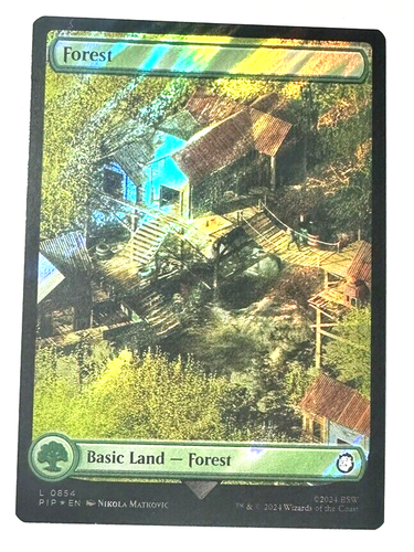 FOREST MAGIC THE GATHERING CARD BASIC LAND FALLOUT | eBay