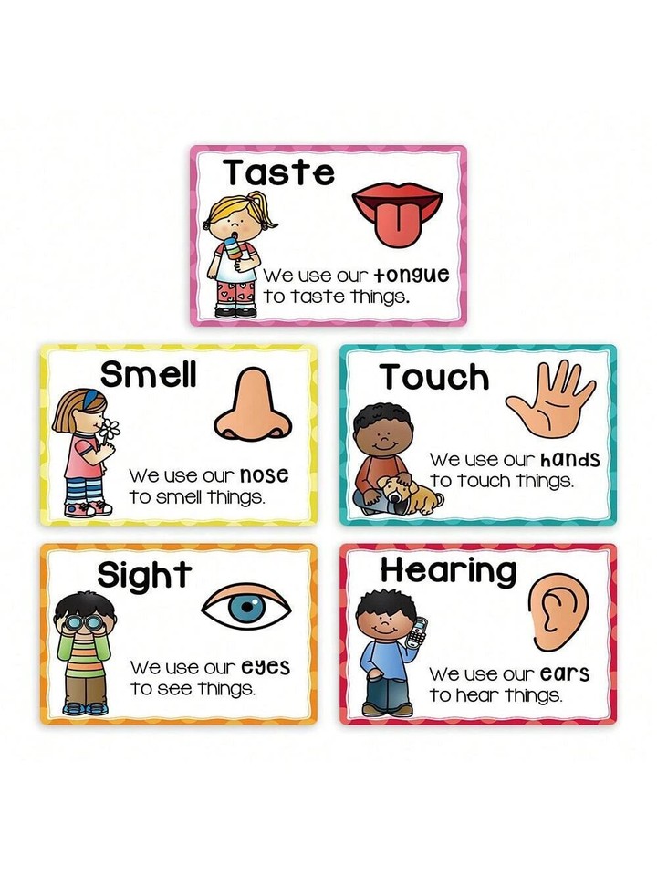 5 PCS Five Senses Posters Chart For Teachers Kids Educational Toy ...