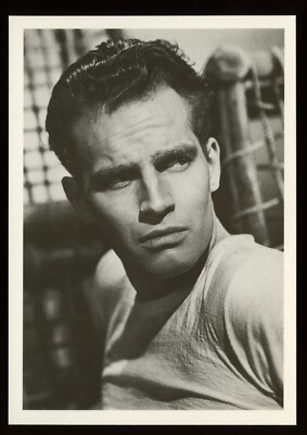 Charlton Heston Actor Hollywood Movie Cinema Film Postcard | eBay