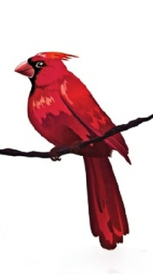 CARDINAL RED CHRISTMAS BIRD Embossing & Cutting Dies - Scrapbooking ...