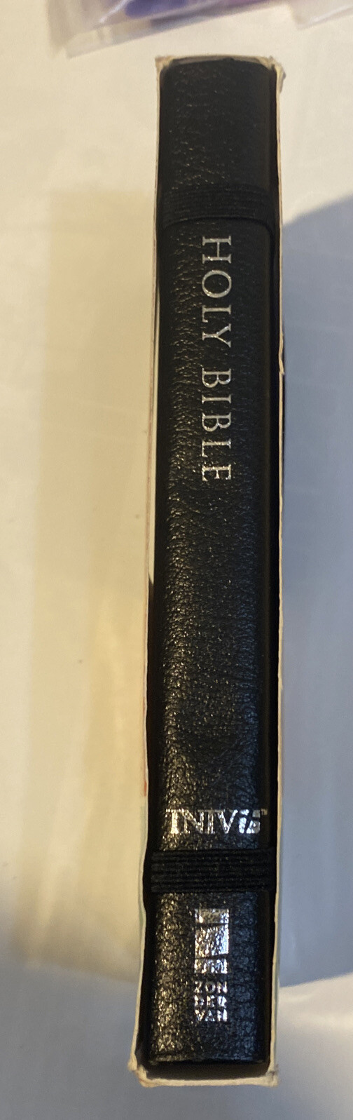 TNIV New Testament Bible by Zondervan Staff (2008, Leather) for sale ...