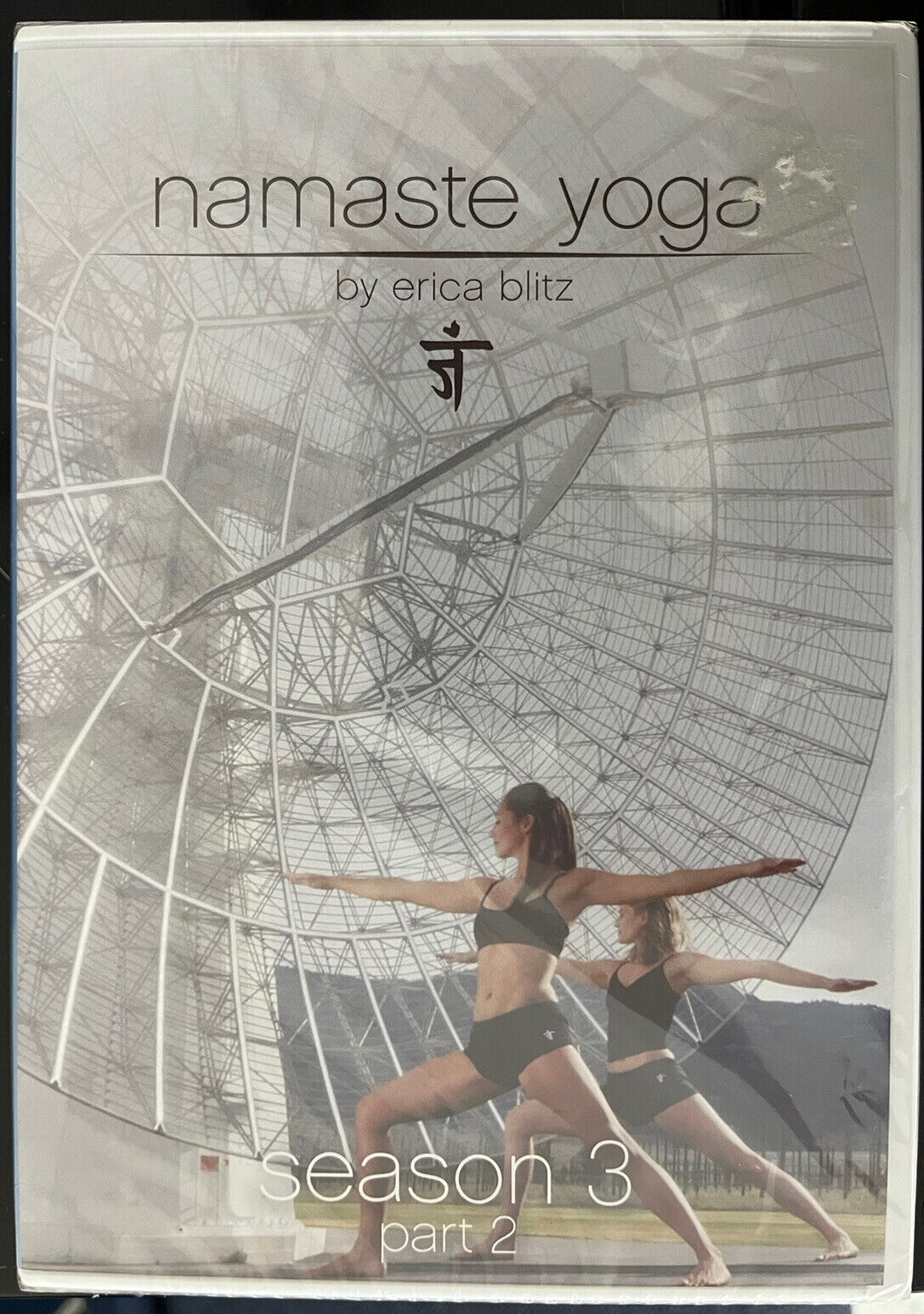 Namaste Yoga by Erica Blitz Season 3 The Complete Series DVD - B253 for ...
