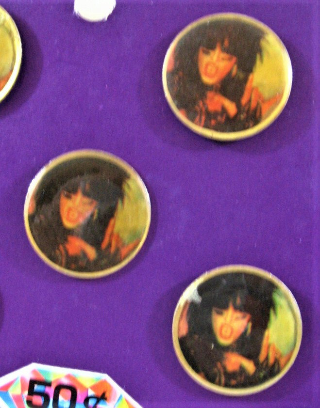 Vintage Lead Singer Music Rock Band Concert Pin Display 12 On Card Old ...