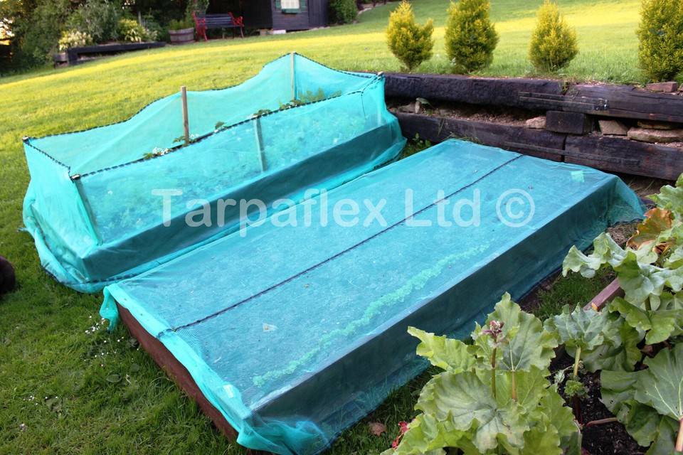DEBRIS NETTING SCAFFOLD SHEETING GARDEN ALLOTMENTS PRIVACY SCREEN ...