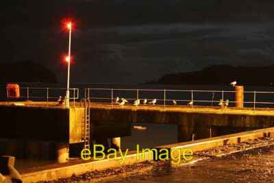 Photo 6x4 Seagulls at Night Campbeltown Resting for the night at the ...