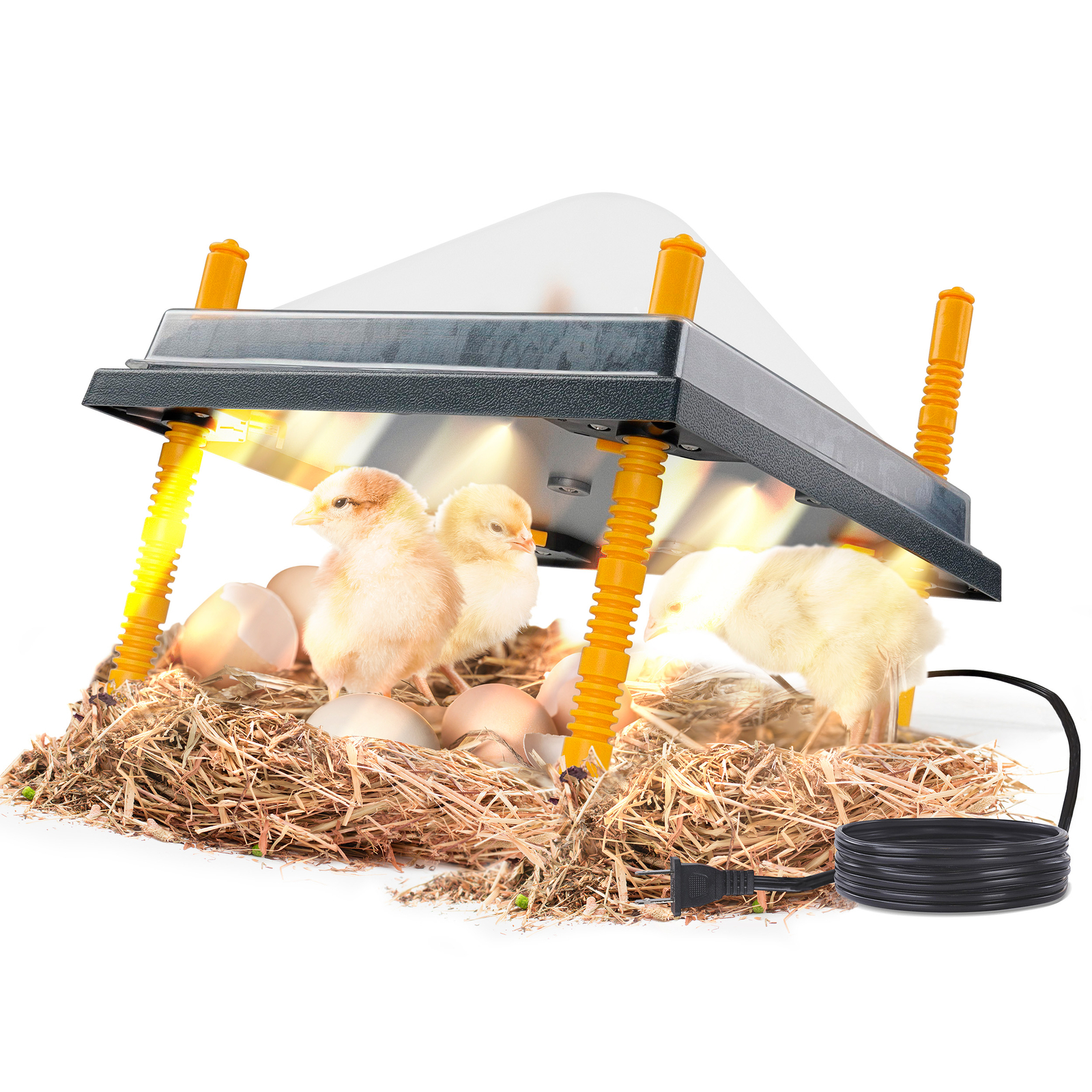 Rural365 Chick Heating Plate - 10 Inch Adjustable Brooder Heat Plate ...