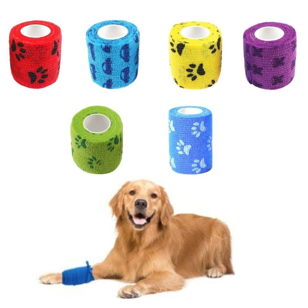 Elastic Bandage For Dogs How To Wrap A Dog's Paw Properly | MetLife