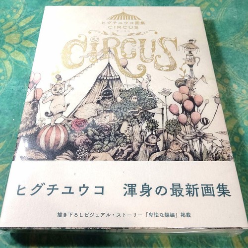 Yuko Higuchi 2019 Art Works Book Circus Illustration Collection ...