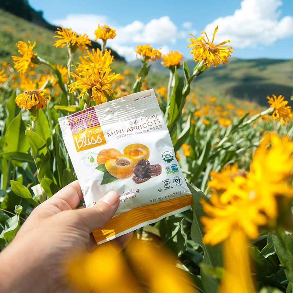 Fruit Bliss Organic Mini Apricots, 1.76 Ounces | eBay