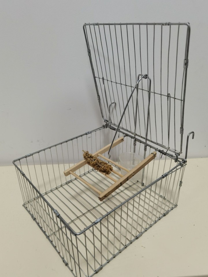 Birdcage Repeating Trap Cage Hunting Escaped bird cage Birds Catch ...