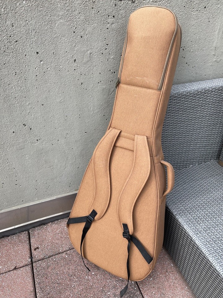 NEW Blueridge BR60 Dreadnought Acoustic Guitar Superb Look/Sound ...