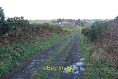 Photo 12x8 Causey Mounth Cammachmore This is part of the Causey Mounth ...