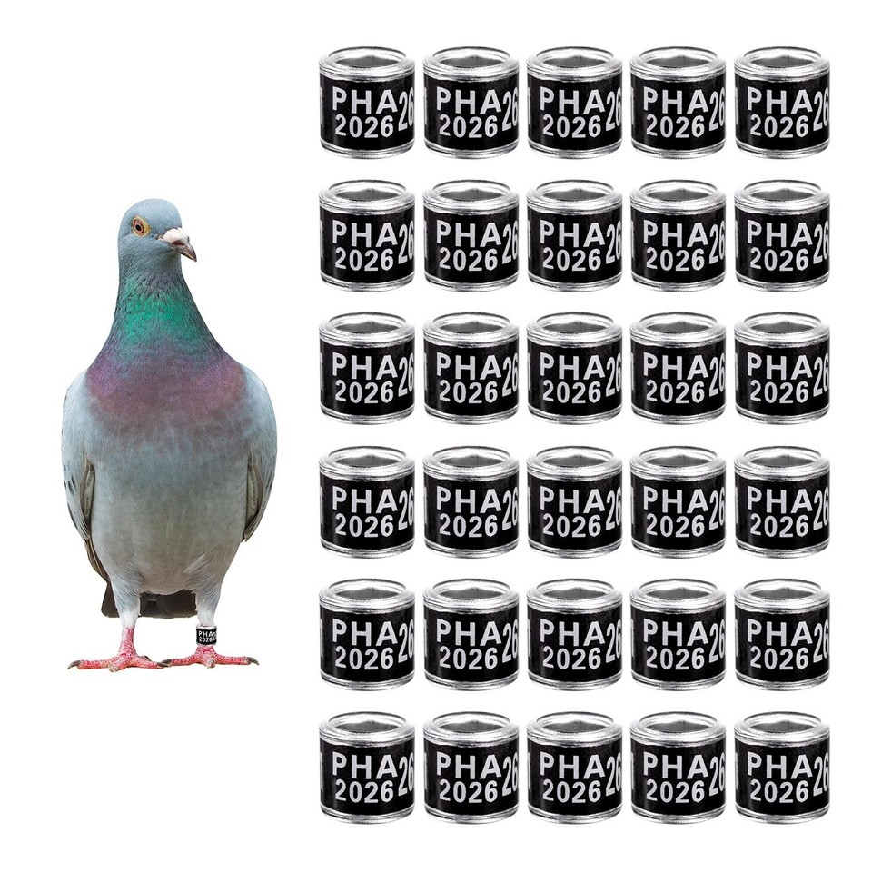 2026 Multicolor 60pcs*8mm Bird Foot Ring for Racing Pigeon Rings Leg ...