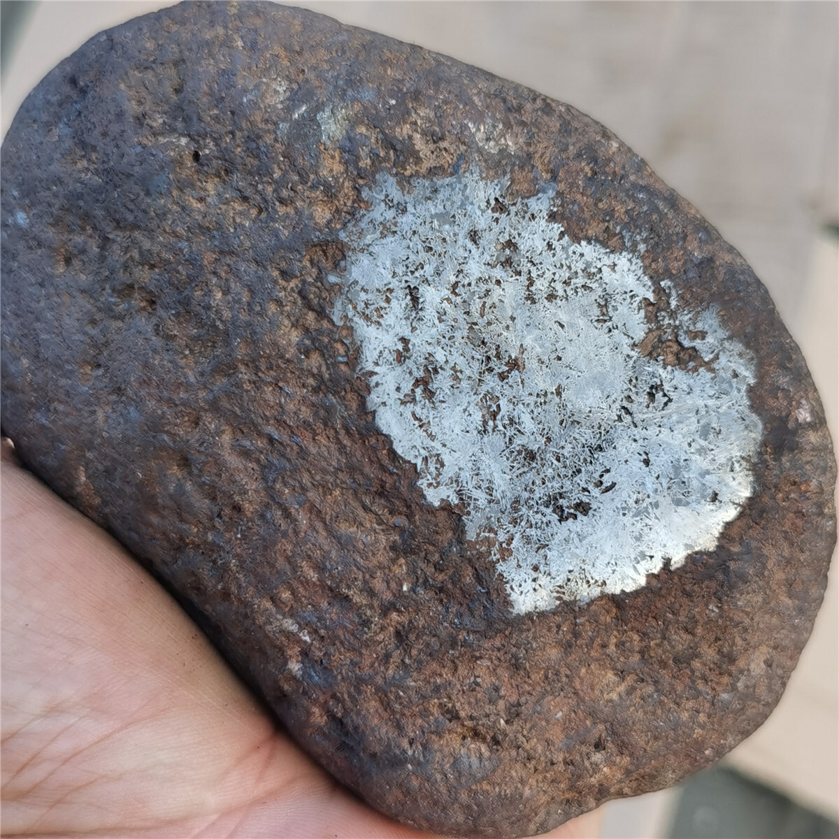 3.2 LB Newly Discovered Iron Meteorite Different from the Widmanstatten ...