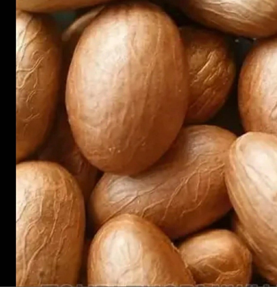 Bitter kola nuts, Orogbo kola nuts, Garcinia Kola Nuts 30 Pieces For ...