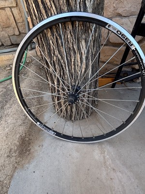 Wheels & Wheelsets - Alex Rims - Nelo's Cycles