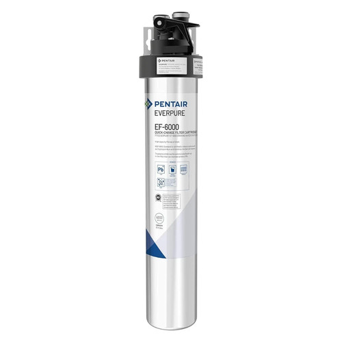Pentair Everpure EF-6000 Filter Cartridge EV985550, 0.5 Micron, 6000 ...