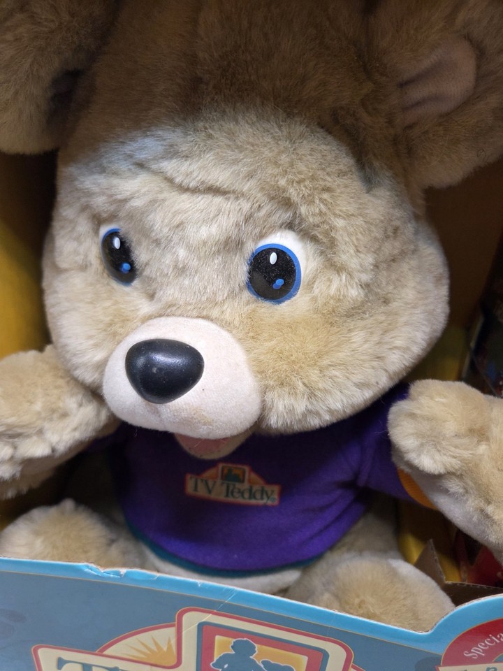TV Teddy Bear Television's First Interactive Talking Friend VHS 1993 ...