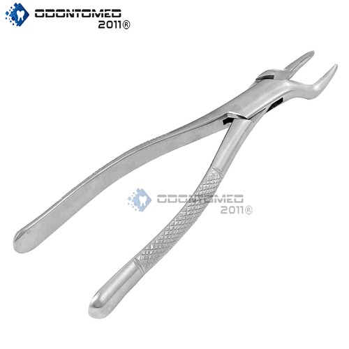 Dental Extracting Forceps 65, Dental Instruments Tools | eBay