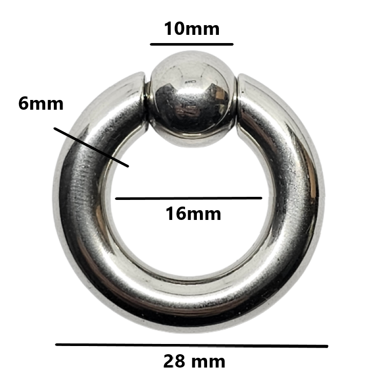Easy Fit Heavy 28mm Ring CBR Ring 2g (6mm) 10mm Ball Closure PA Prince ...