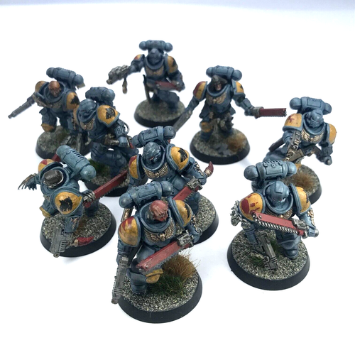 Assault Intercessors Space Wolves Space Marines - Painted - Warhammer ...