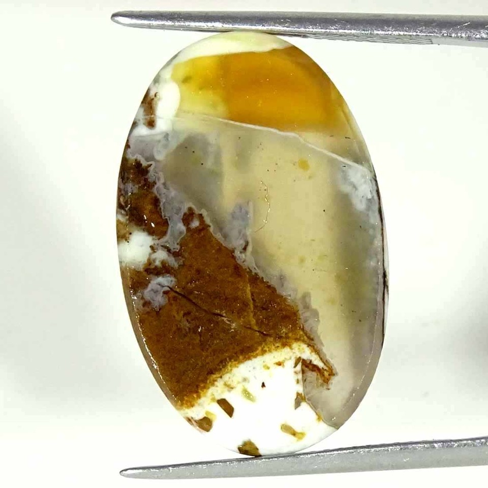 14.30Cts Wild Horse Opal Loose Natural Gemstone Cabochon 15x24x5mm Oval ...