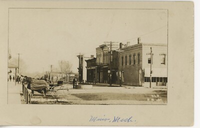 Muir Michigan 1900s Postcard of Main Street | eBay