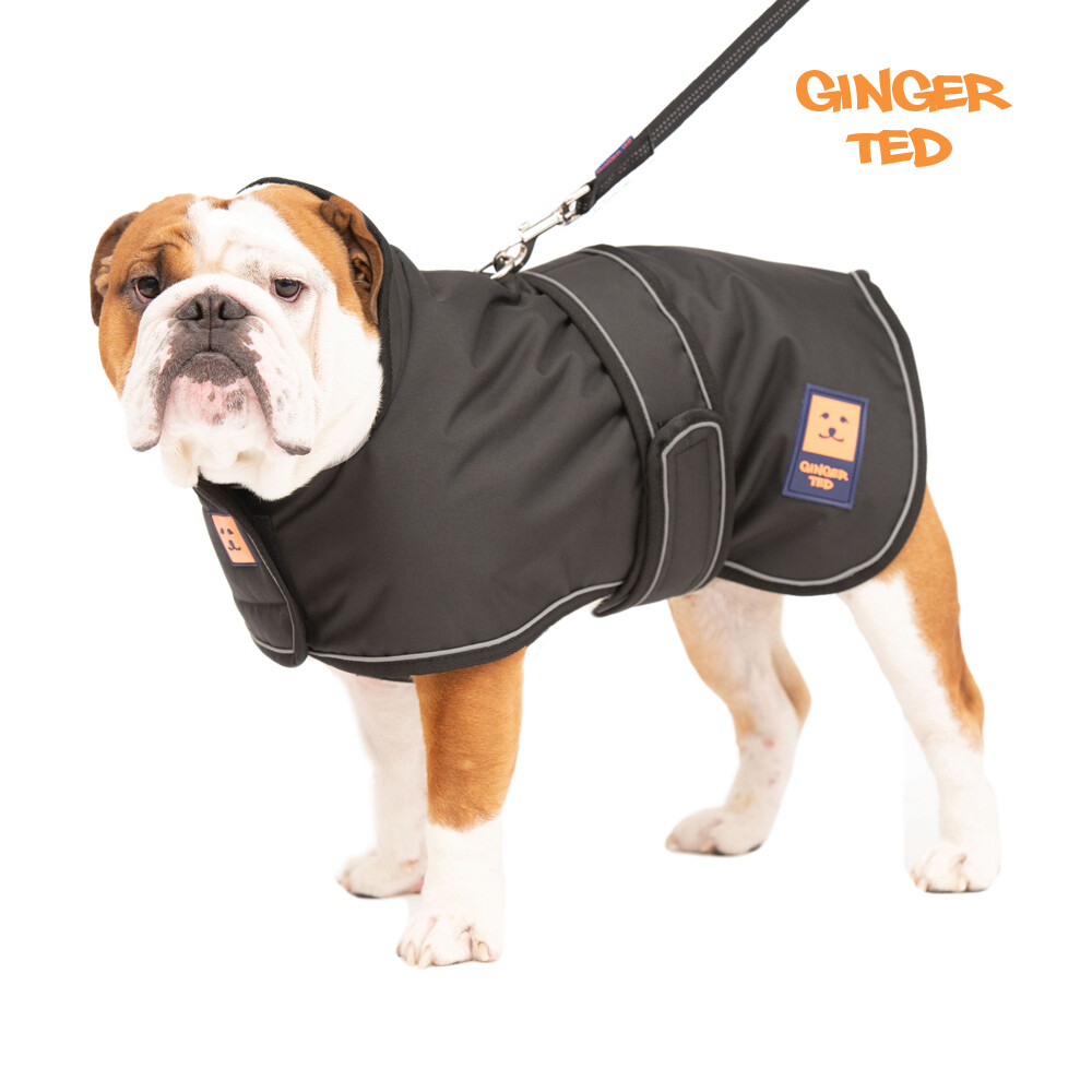 Ginger Ted Waterproof Bulldog Frenchie Dog Coat - warm harness, barrel ...