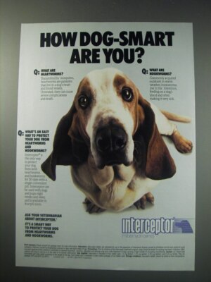 1991 Ciba-Geigy Interceptor Tablets Ad - How dog-smart are you? | eBay