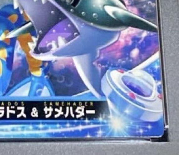 PSA 10 Pokemon Card Carddass Pair Card Gyarados & Sharpedo Japanese ...