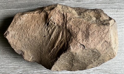 Hand Axe Paleolithic Artifact Acheulean Morocco 100k Yrs Old 7x4 Inches ...