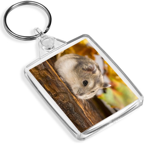 Cute Field Mouse Keyring - IP02 - Rodent Rat Gerbil Hamster Mice Fun ...