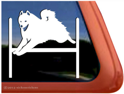 Samoyed Agility Dog Window Decal | eBay
