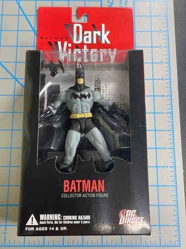 DC Direct Batman Dark Victory Collector Action Figure Bruce Wayne | eBay