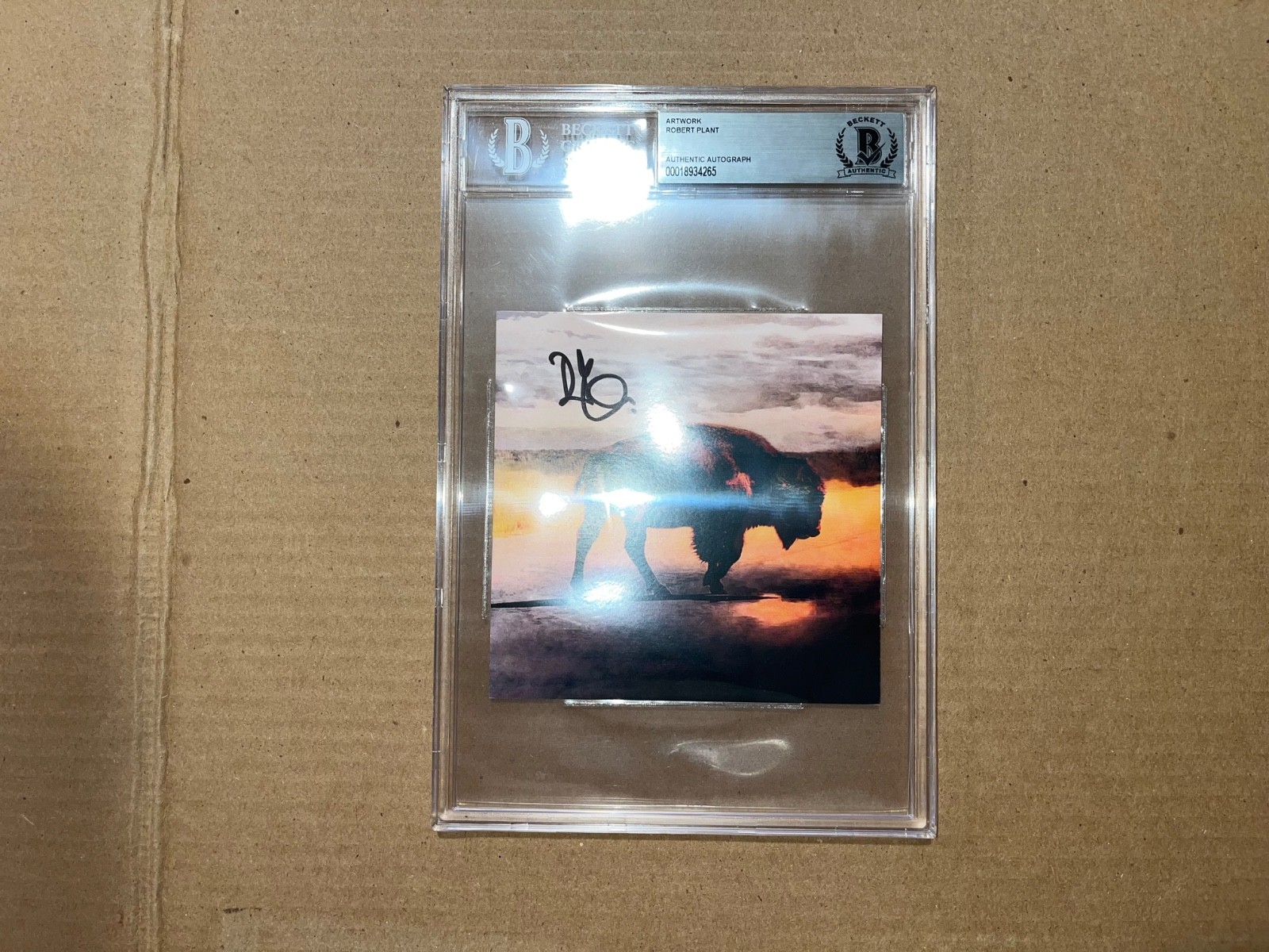 Robert Plant Signed Autographed Beckett Slabbed Slab Encapsulated ...