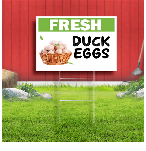 Fresh Duck Eggs Coroplast Sign Plastic Indoor Outdoor Yard Sign | eBay