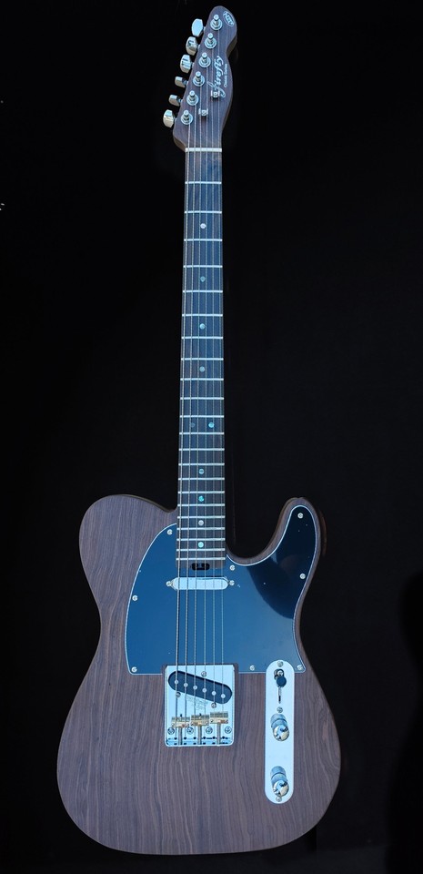 Firefly FFTL Tele Style Electric Guitar Rosewood Color Stainless Frets ...