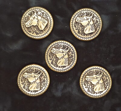 Horse Head Western Style Concho / Conchos 1" Five Count Bronze | eBay