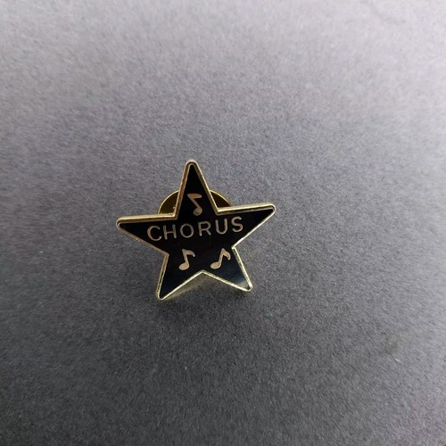 Chorus Black Gold Star Hat Jacket Pinback Pin | eBay