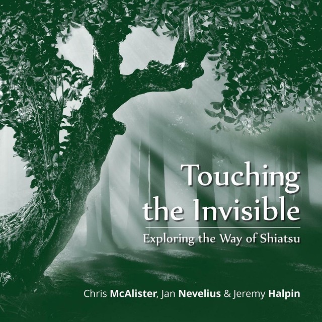 Touching the Invisible von Jeremy Halpin (2021, Taschenbuch) online ...