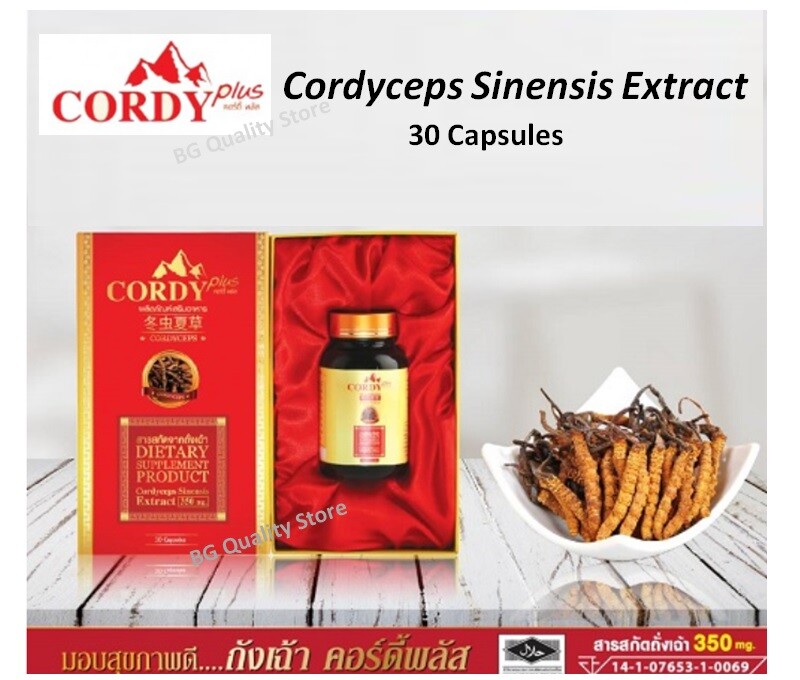 CORDY PLUS Tibetan Cordyceps Sinensis Extract 350mg Improve Immune ...