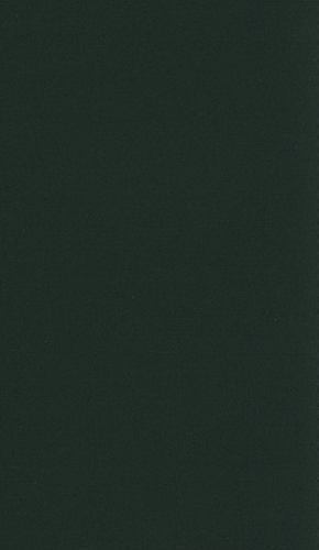 Pink Noises : Women on Electronic Music and Sound by Tara Rodgers (2010 ...