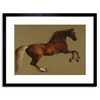 Painting Stubbs Whistlejacket Racehorse Framed Print 9x7 Inch | eBay ...
