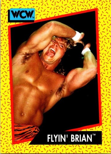 1991 Impel WCW #55 Flyin' Brian | eBay
