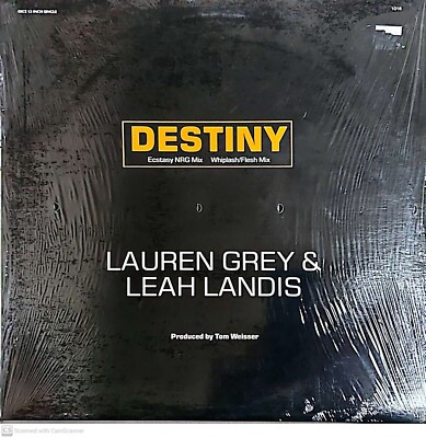 LAUREN GREY & LEAH LANDIS - DESTINY - 12" VINYL SINGLE 80'S | eBay
