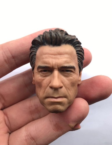 1/6 Scale Terminator Genisys T800 Arnold Schwarzenegger Head Sculpt | eBay