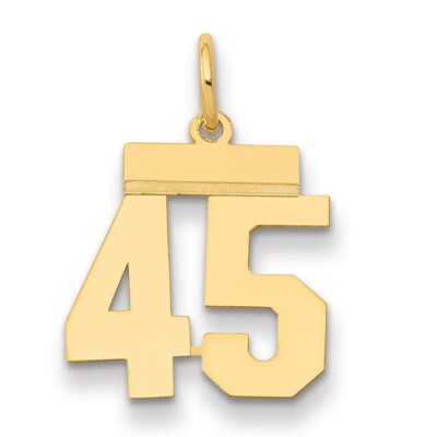 Real 14kt Yellow Gold Small Polished Number 45 Charm | eBay
